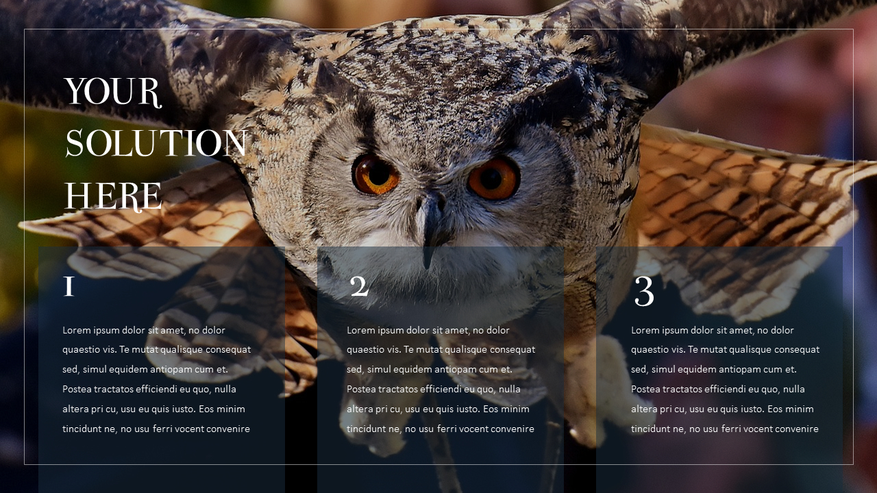 Owl Slide PPT