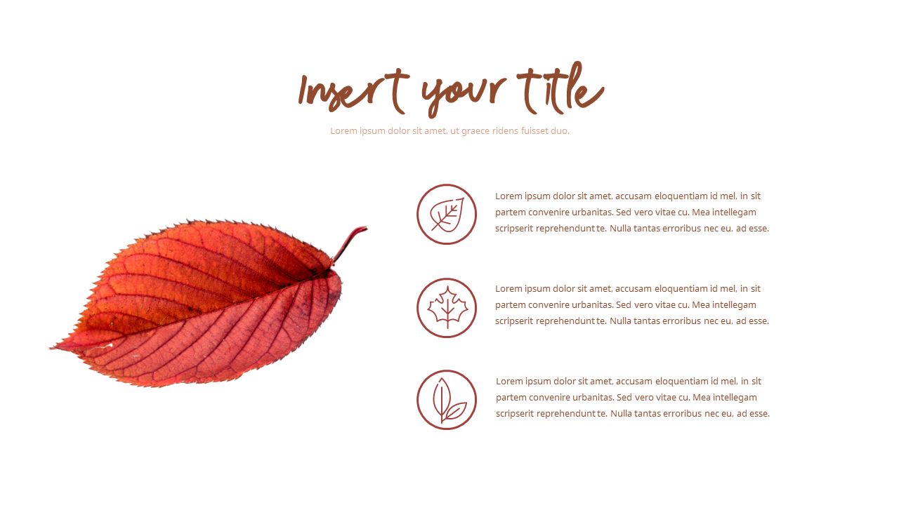 Autumn Season Simple Templates