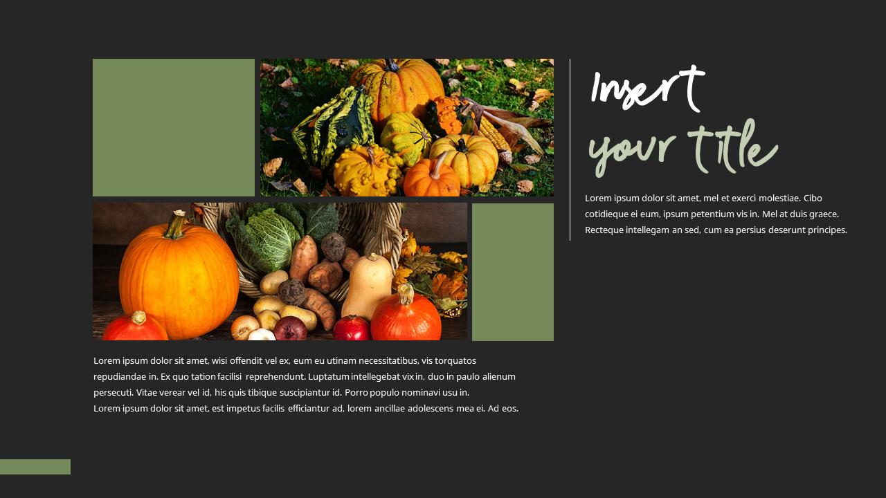 Autumn Season Simple Templates