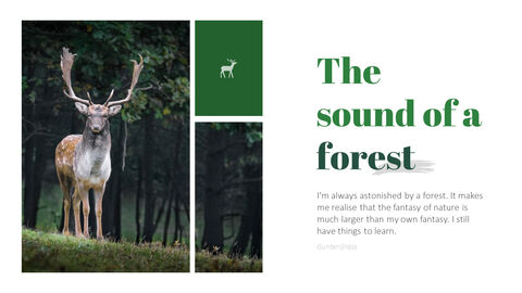 Forest PowerPoint Templates Multipurpose Design