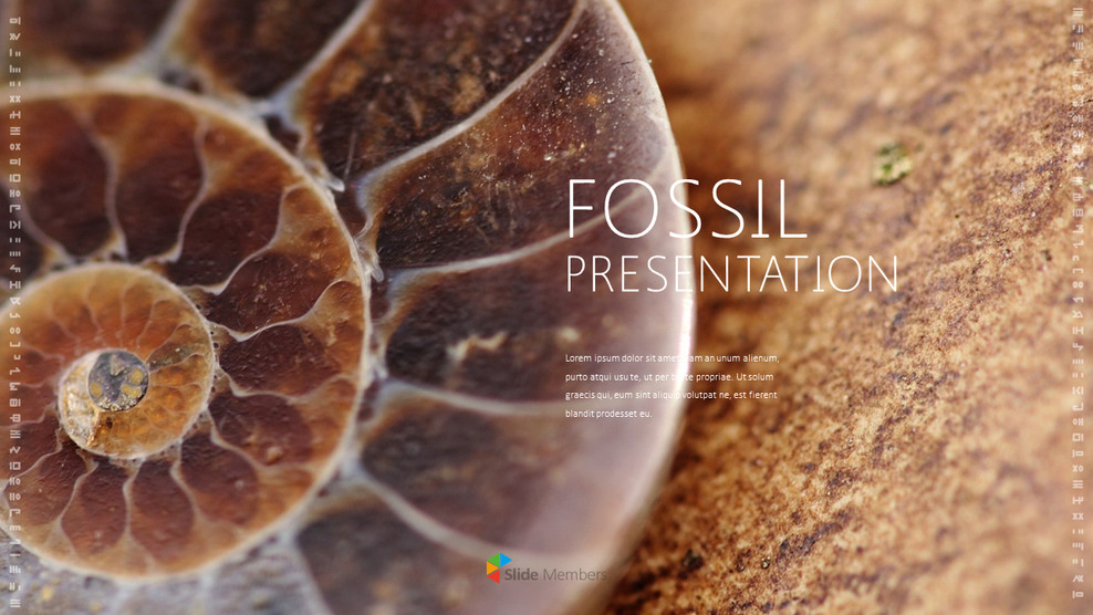 Fossil Templates PPT