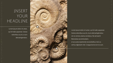 Fossil Templates PPT