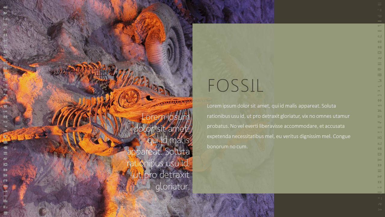 Fossil Templates PPT