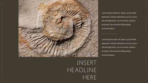 Fósil Plantillas PPT