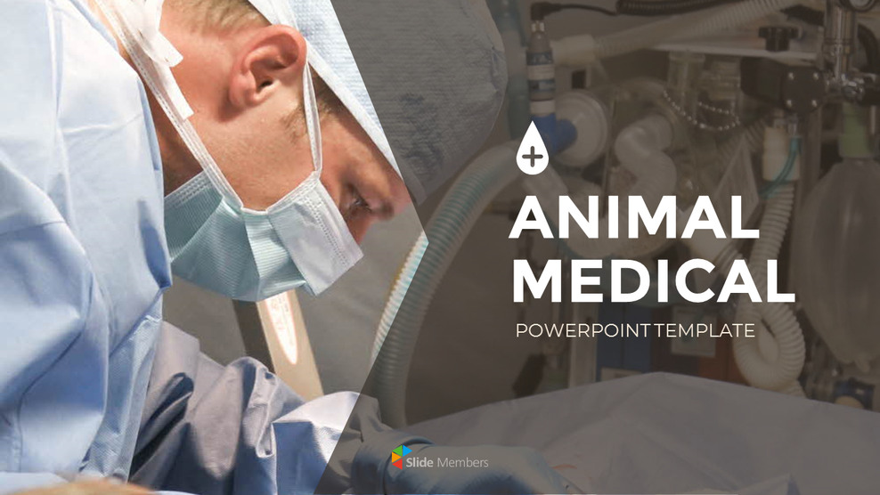 Animal Medical Slide Presentation