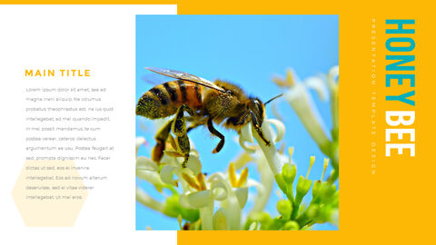 Honeybee creating PowerPoint Presentations