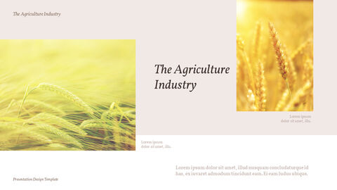 The Agriculture Industry Background PowerPoint