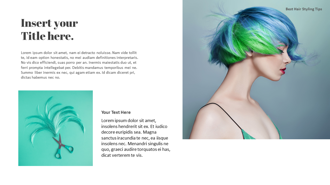 Best Hair Styling Tips PowerPoint Format