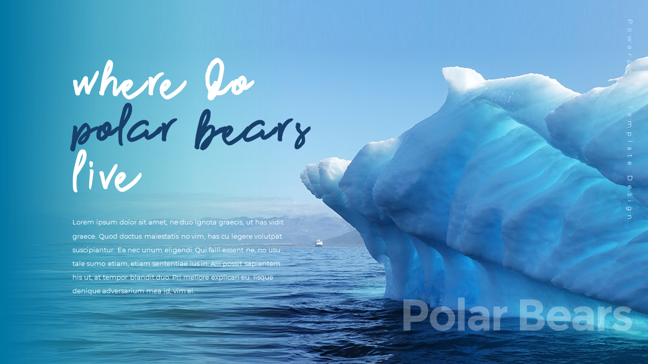 Where do polarbears live PPT Slides