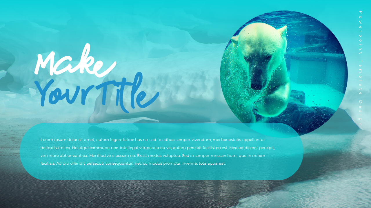 Where do polarbears live PPT Slides