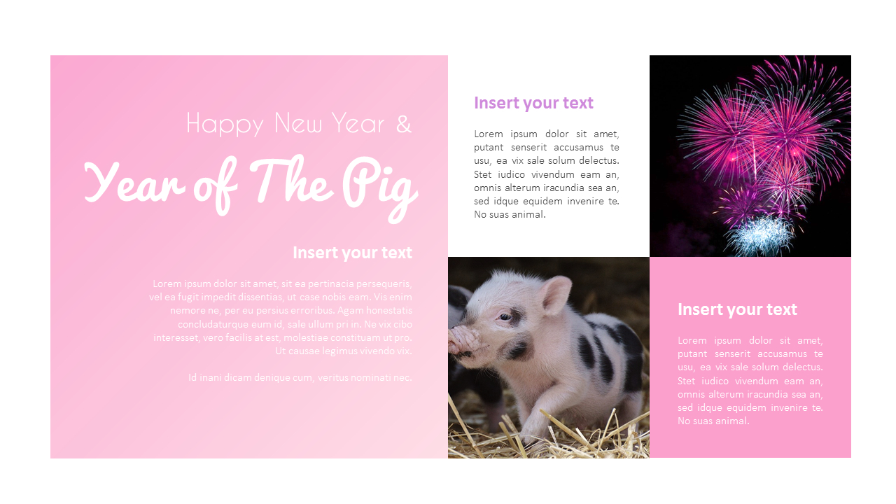 Year of The Pig PowerPoint