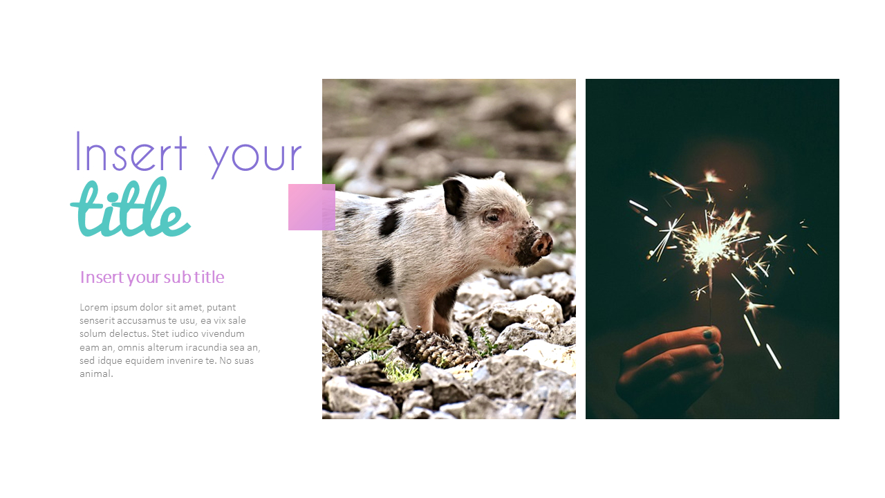 Year of The Pig PowerPoint