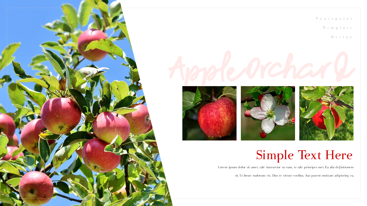 Apple Orchard Presentation PPT
