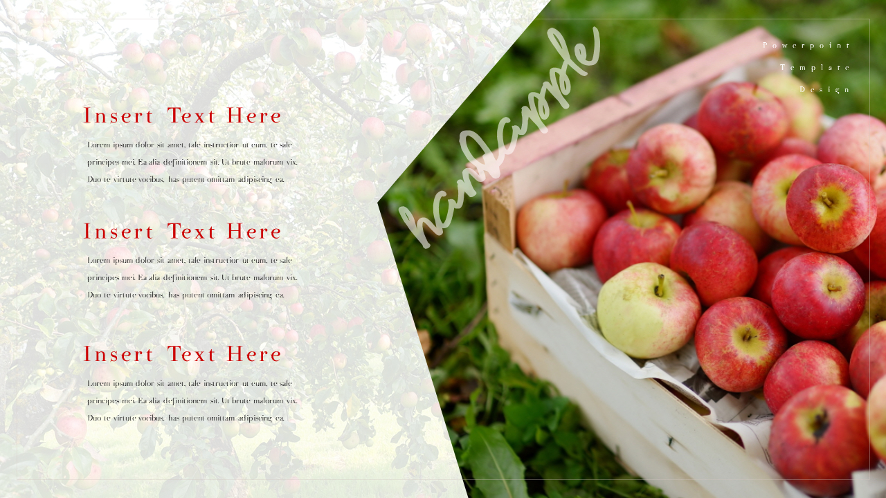 Apple Orchard Presentation PPT