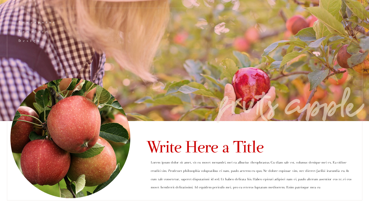 Apple Orchard Presentation PPT