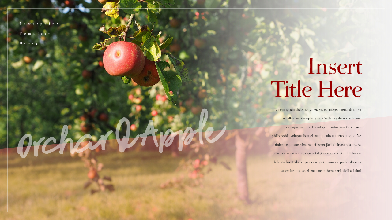 Apple Orchard Presentation PPT