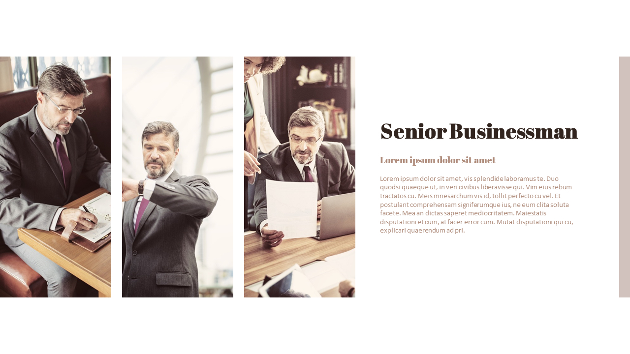 Senior Businessman Design brief Templates