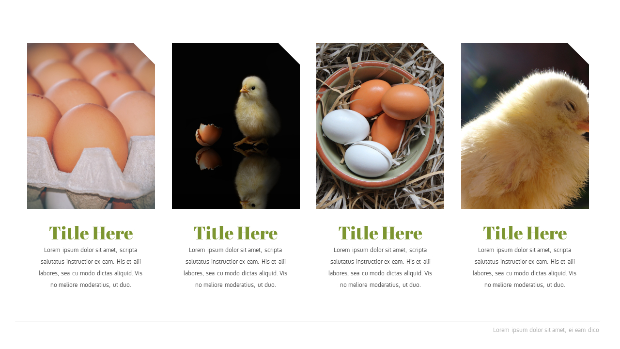 PoultryFarm Simple PowerPoint Templates