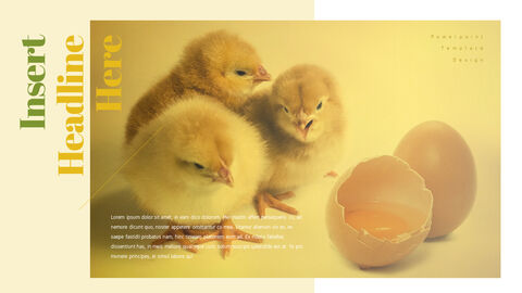 PoultryFarm Simple PowerPoint Templates