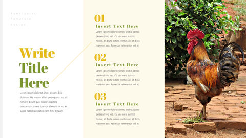 PoultryFarm Simple PowerPoint Templates