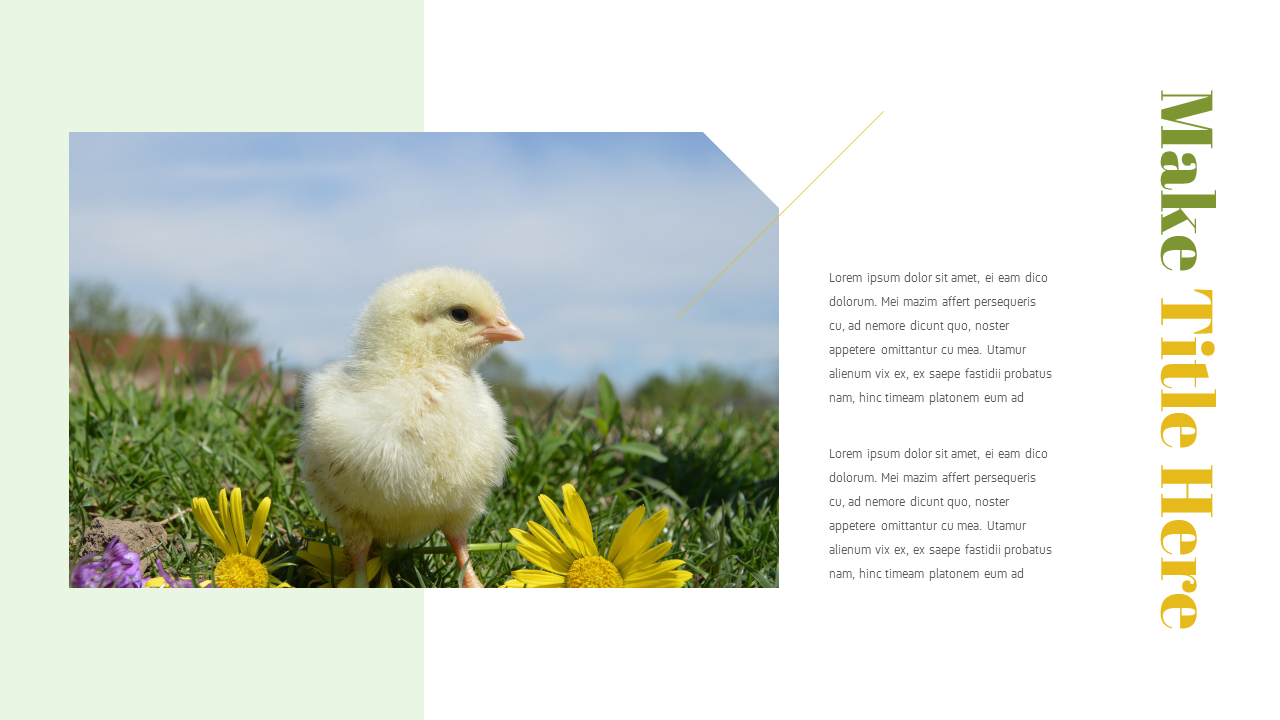 PoultryFarm Simple PowerPoint Templates