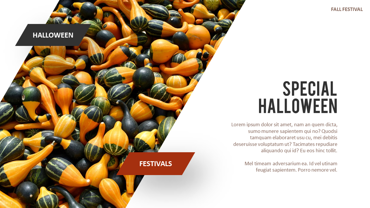Special Fall Festivals Outline PPT Presentation