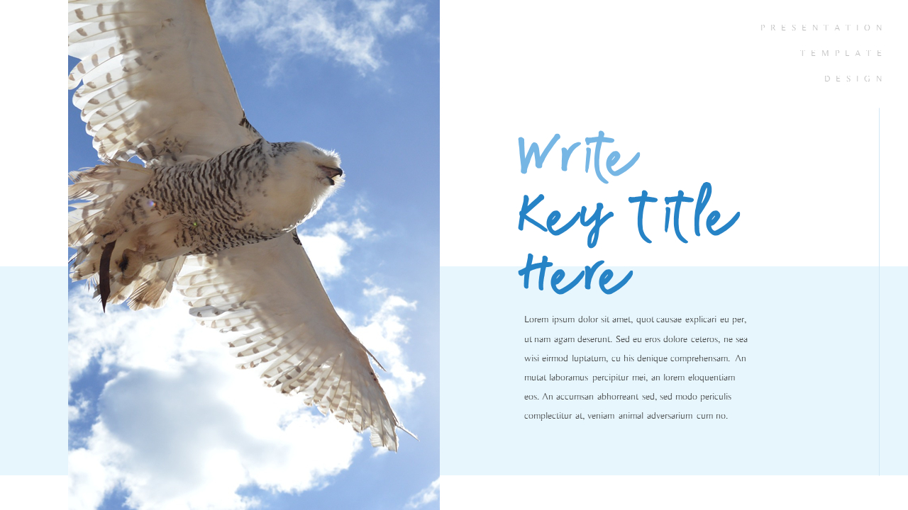 A Flying Bird PowerPoint Table of Contents