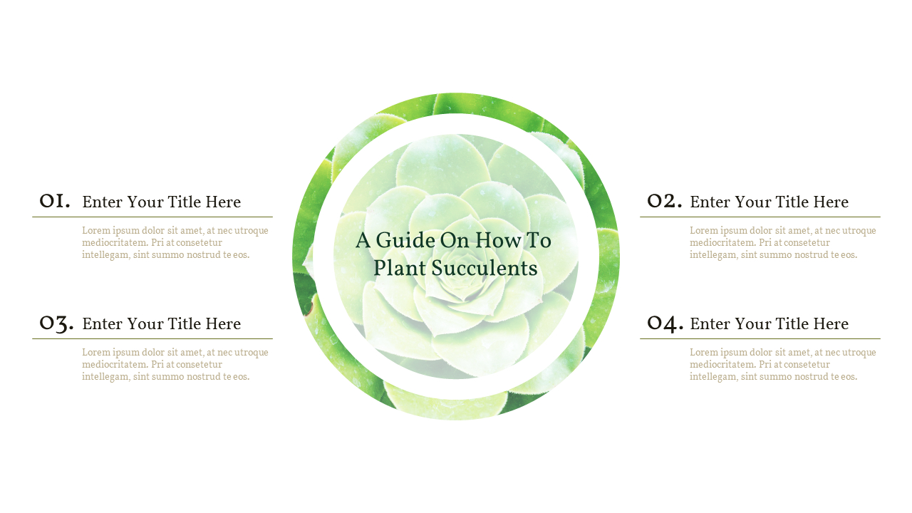 Succulent Plant Business PPT