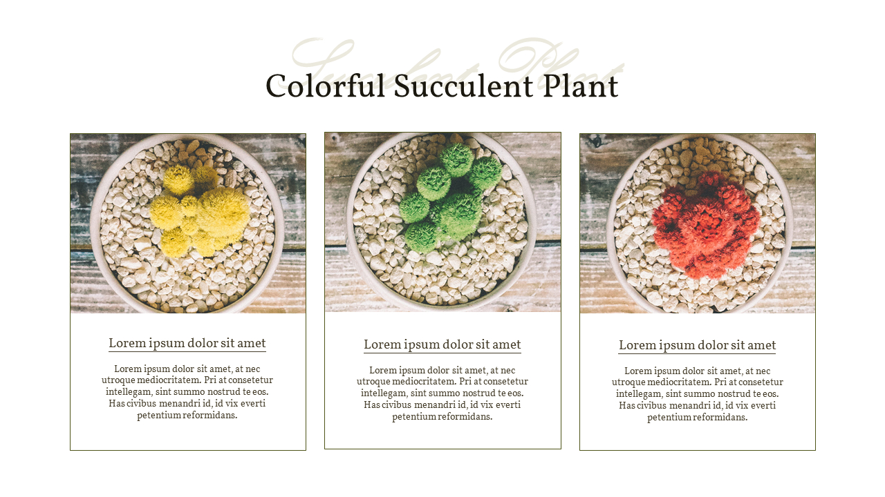 Succulent Plant Business PPT