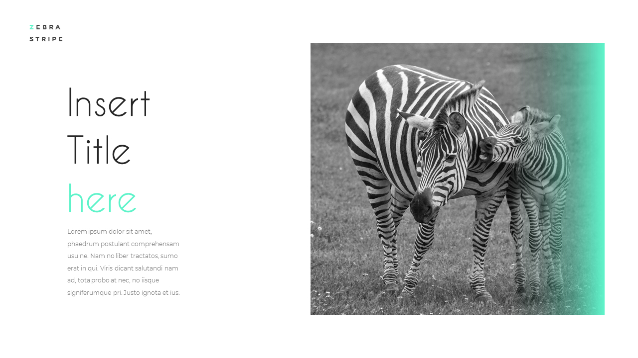 Zebra Stripe Best PowerPoint Presentations