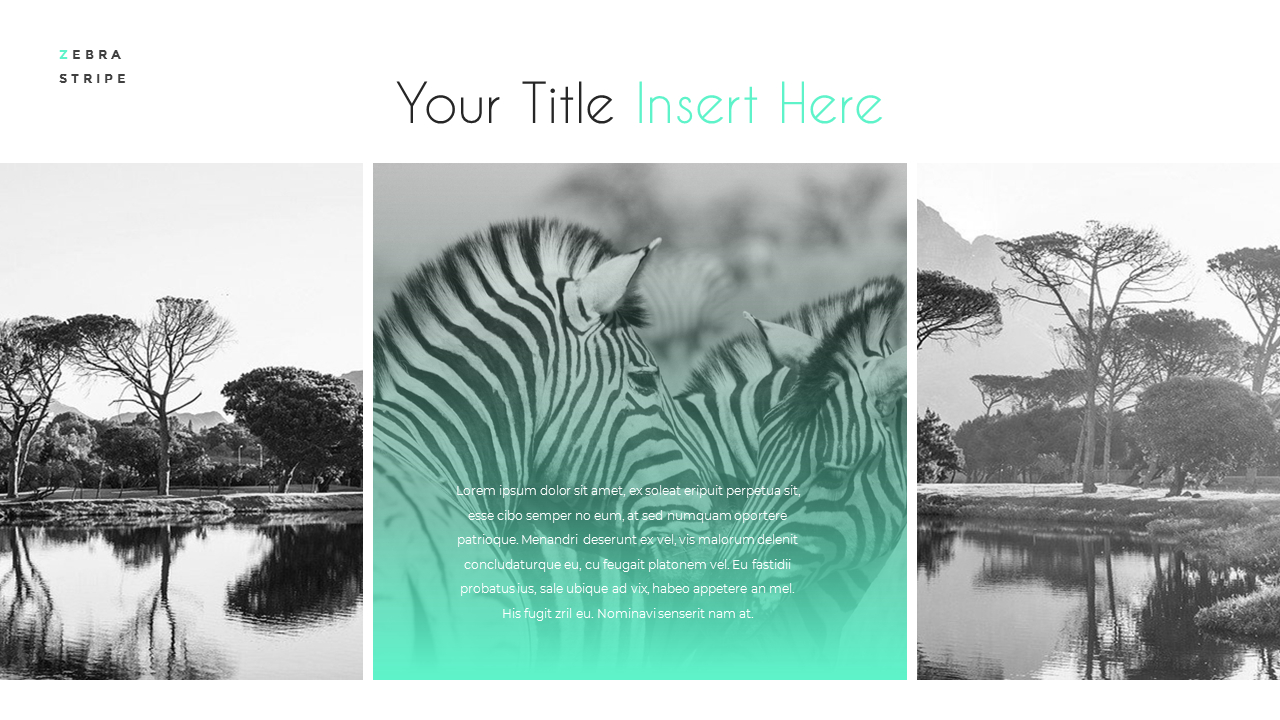 Zebra Stripe Best PowerPoint Presentations