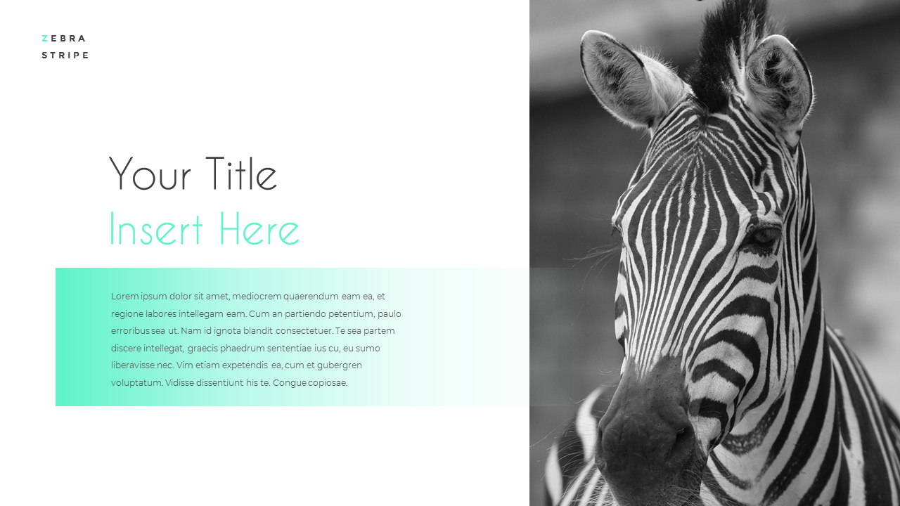 Zebra Stripe Best PowerPoint Presentations
