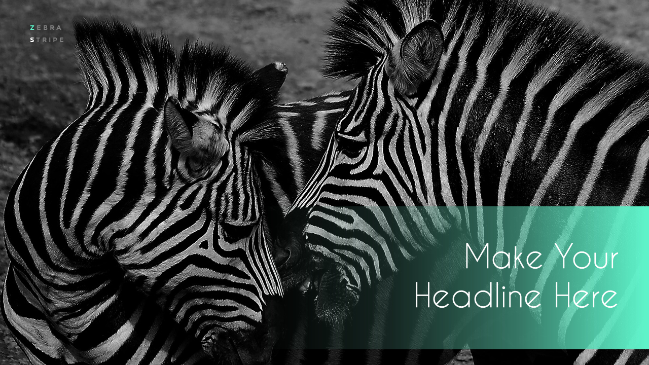 Zebra Stripe Best PowerPoint Presentations