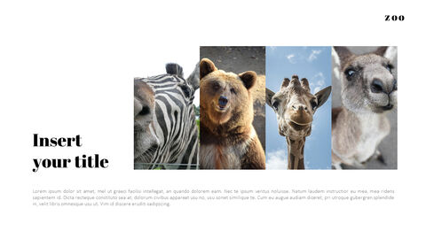 Zoo PowerPoint Templates for Presentation