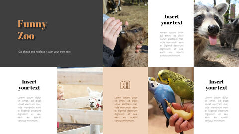 Zoo PowerPoint Templates for Presentation