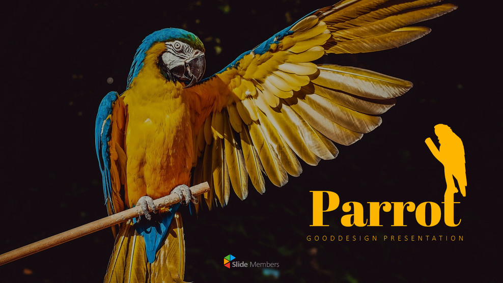 Parrot Best PowerPoint Templates