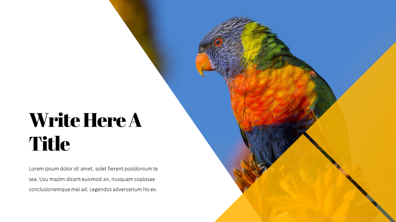 Parrot Best PowerPoint Templates