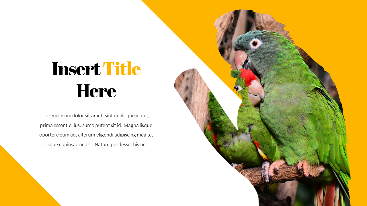 Parrot Best PowerPoint Templates