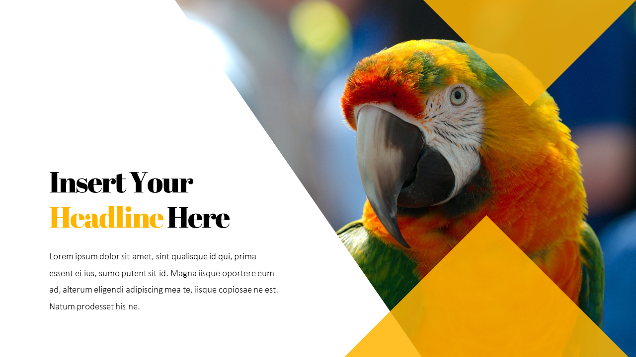 Parrot Best PowerPoint Templates