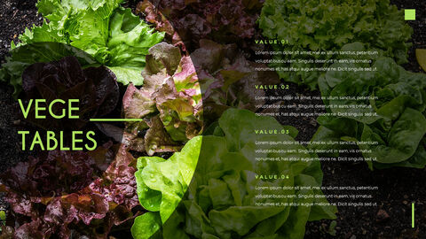 Vegetables Powerpoint Presentation