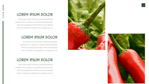 Vegetales Presentación de Powerpoint