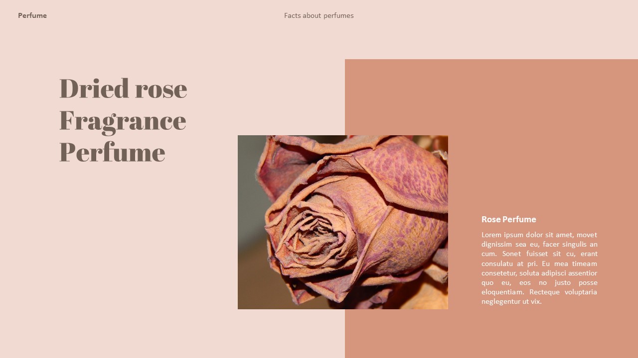 Perfume with Flower PowerPoint Templates