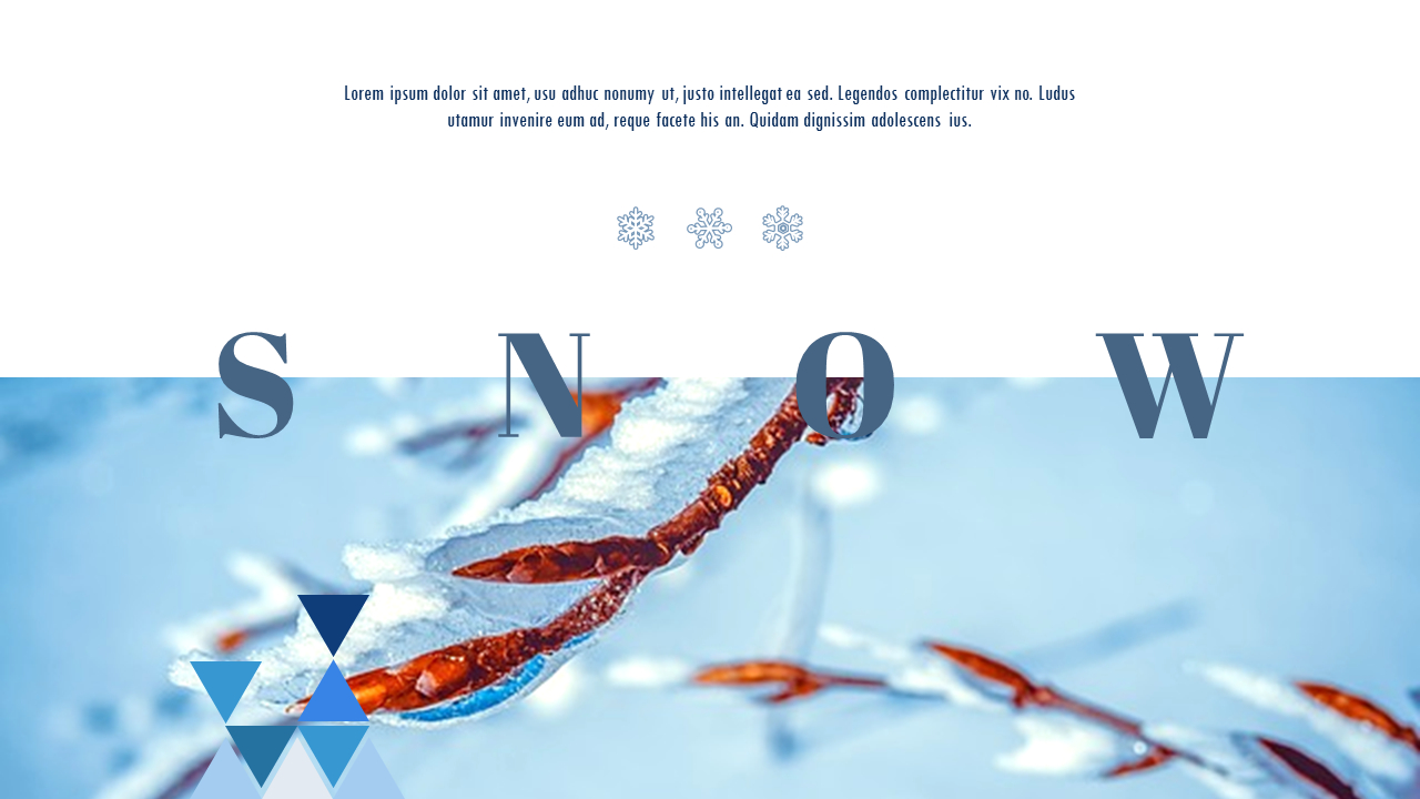 Snowflake Templates Design