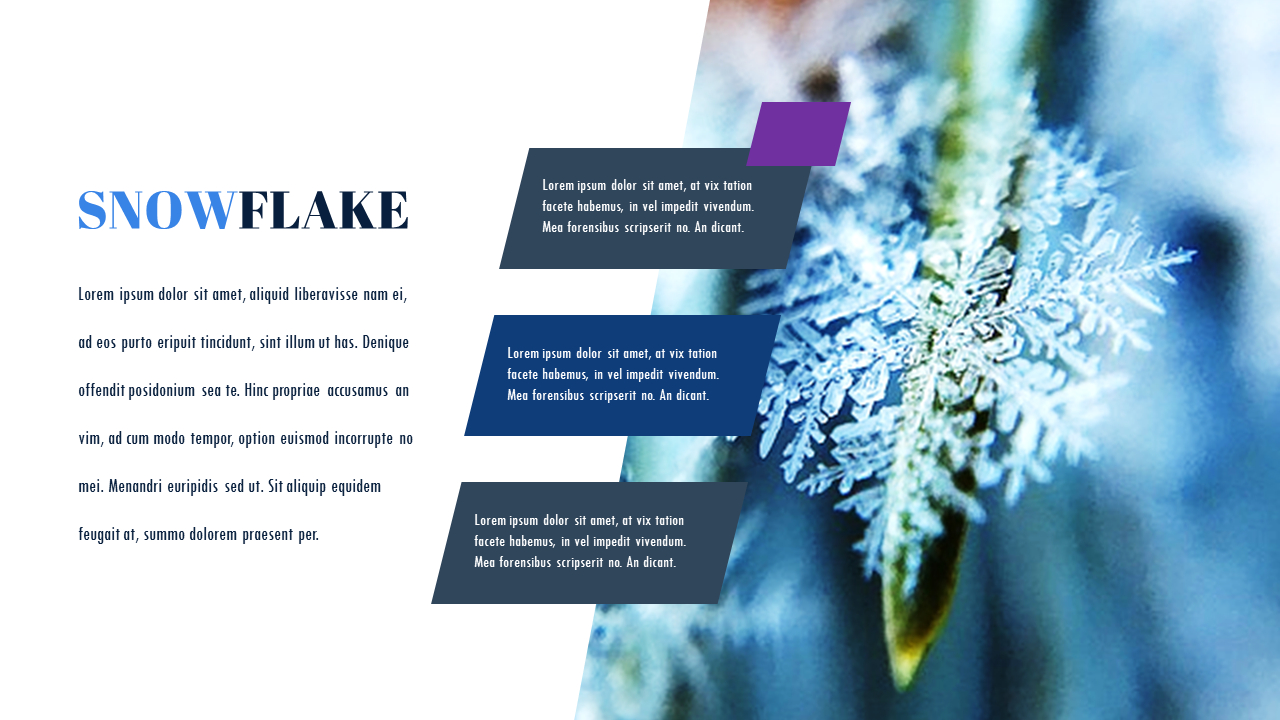 Snowflake Templates Design