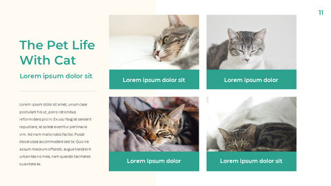 Pet Life Google Slides Templates for Your Next Presentation|Animal