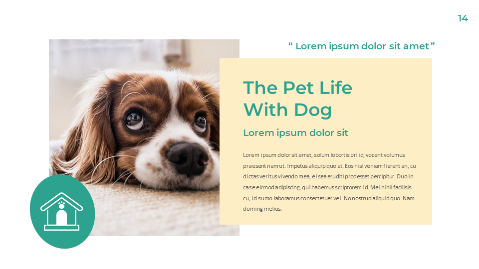 Pet Life Google Slides Templates for Your Next Presentation|Animal