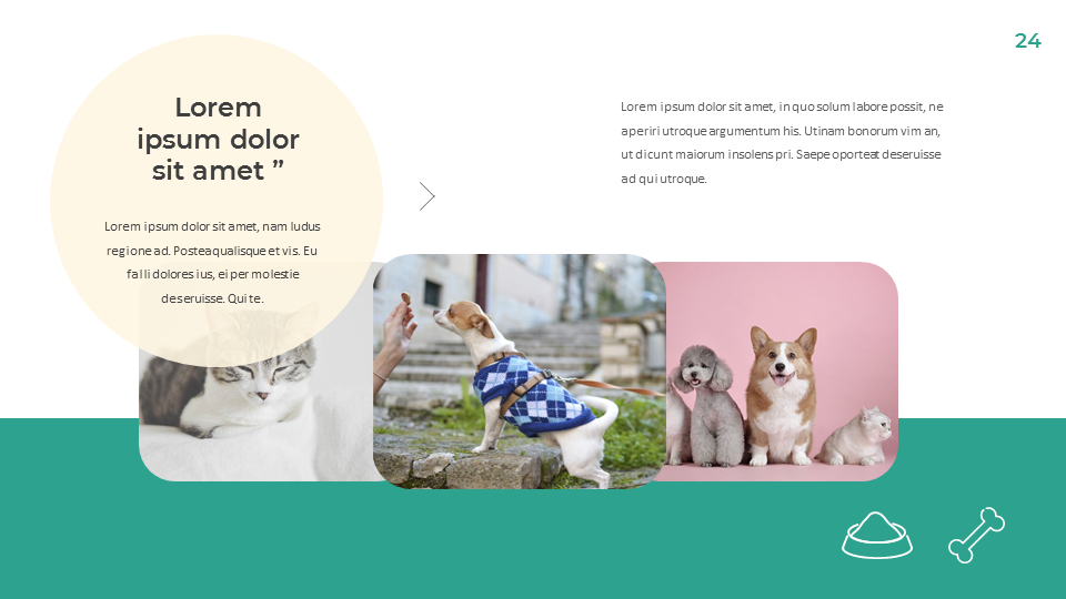 Pet Life Google Slides Templates for Your Next Presentation|Animal