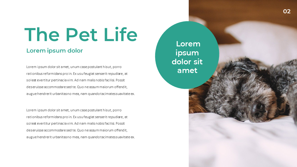 Pet Life Simple PowerPoint Template Design