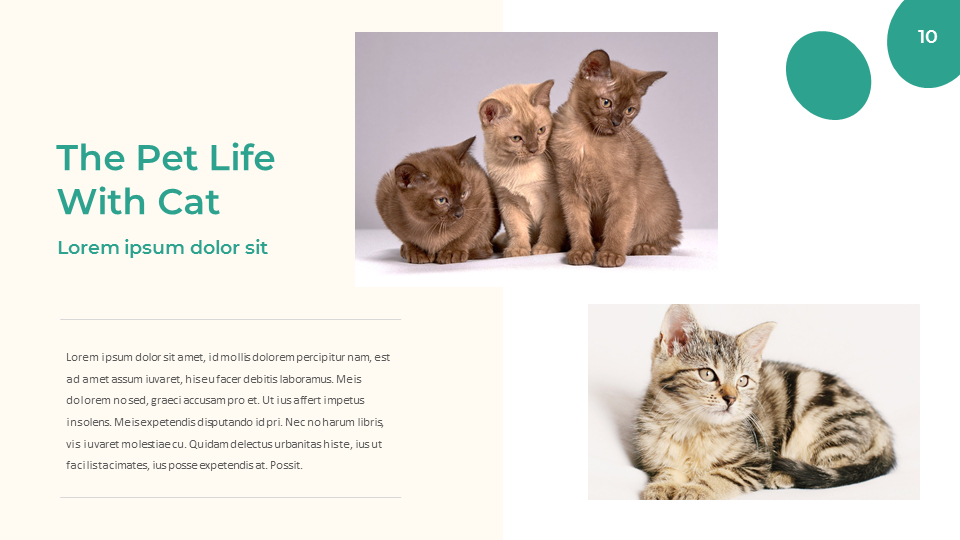 Pet Life Simple PowerPoint Template Design