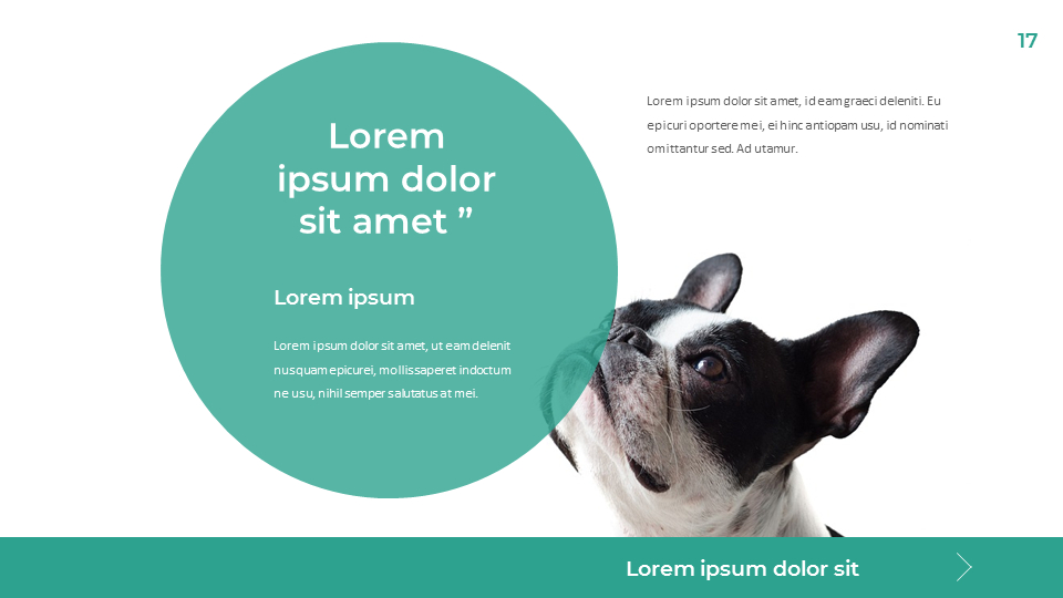 Pet Life Simple PowerPoint Template Design